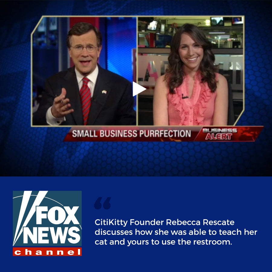 CitiKitty Cat Toilet Training Kit - As Seen on Shark Tank – CitiKitty Inc.